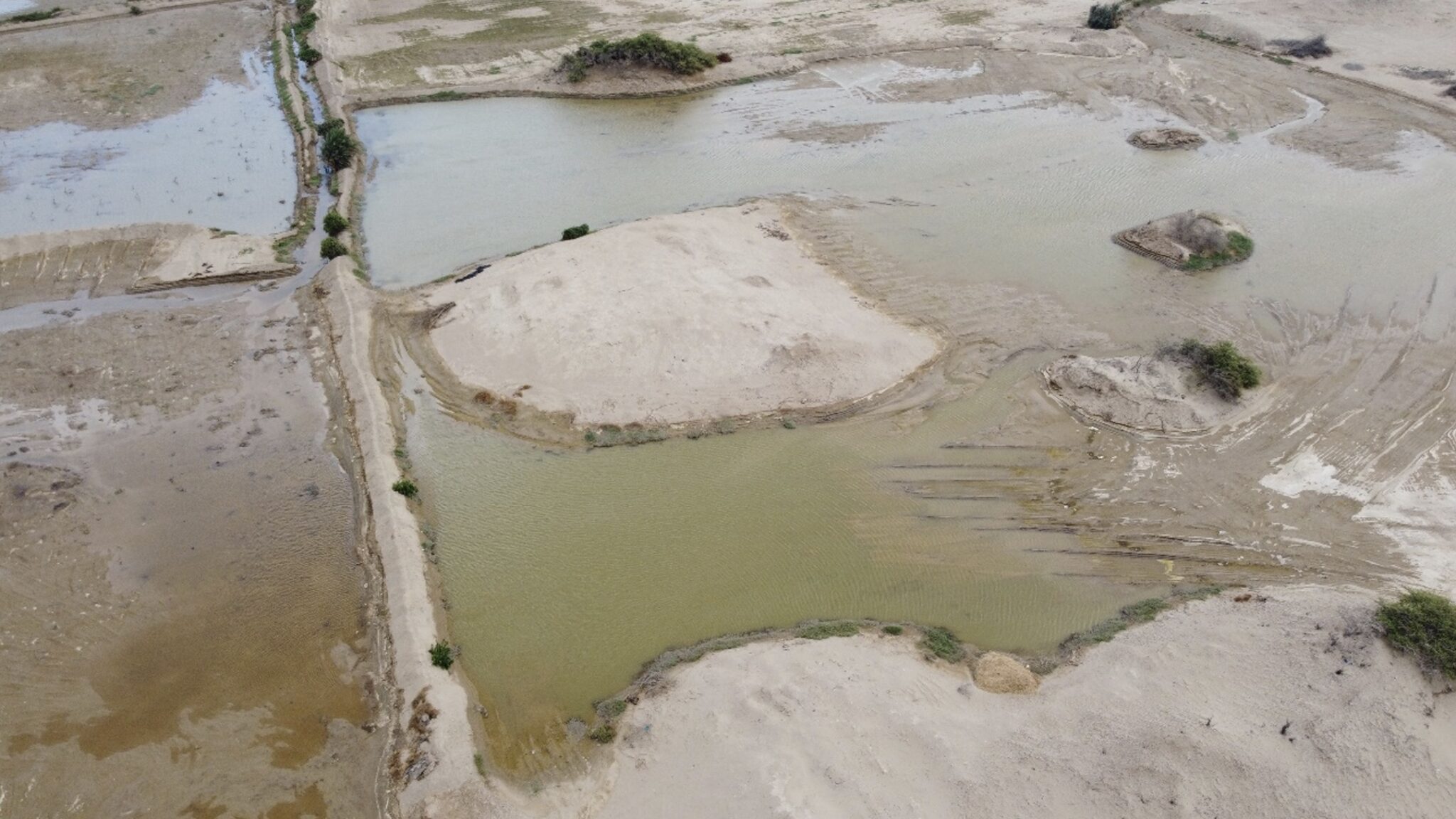 Conoce a Edith Lagos, la senderista estrella de los años 80