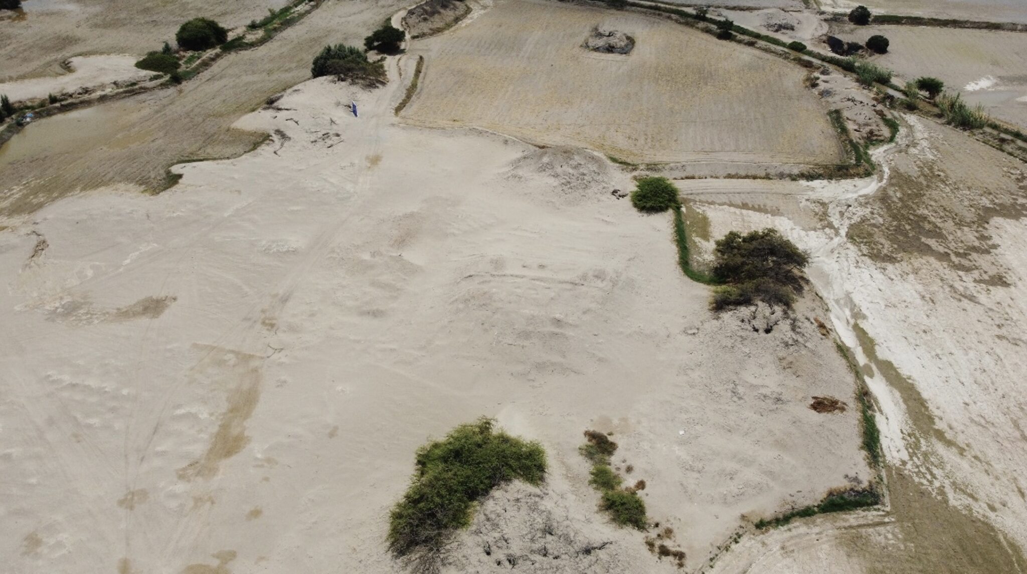 Conoce a Edith Lagos, la senderista estrella de los años 80