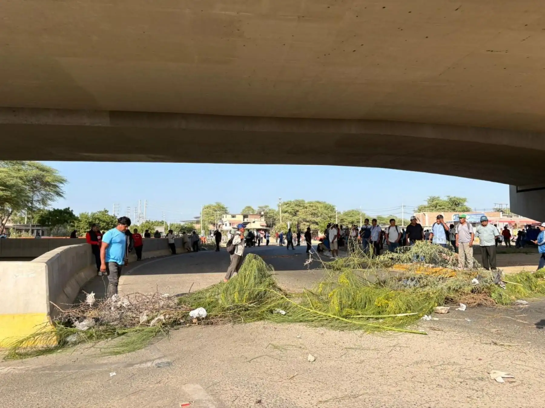 Paro agrario bloquea 18 tramos de carreteras en Piura, San Martín y Puno